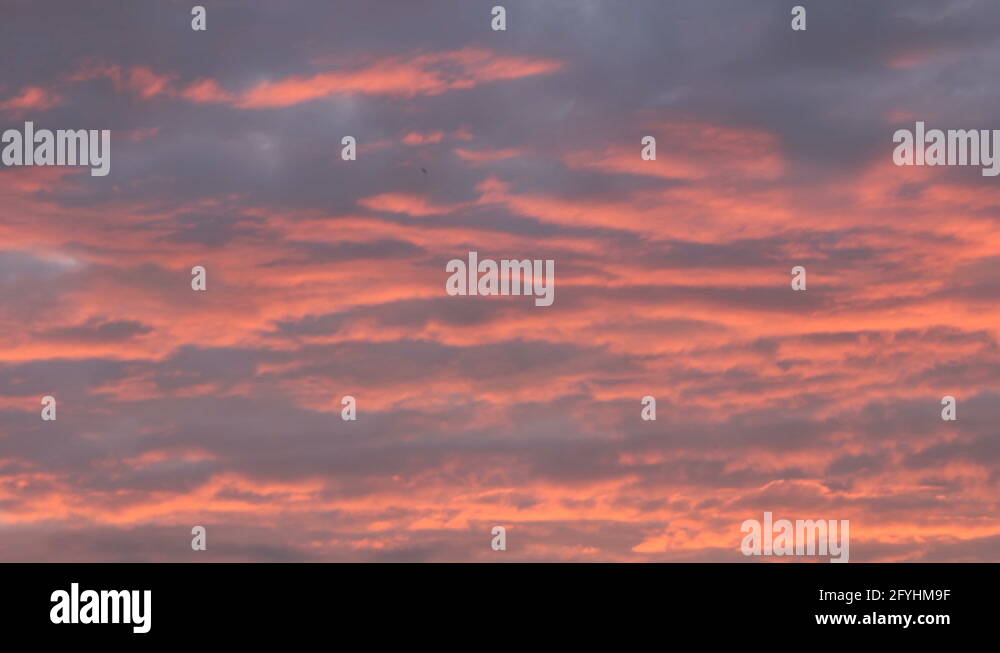 Orange and pink Stock Videos & Footage - HD and 4K Video Clips - Alamy
