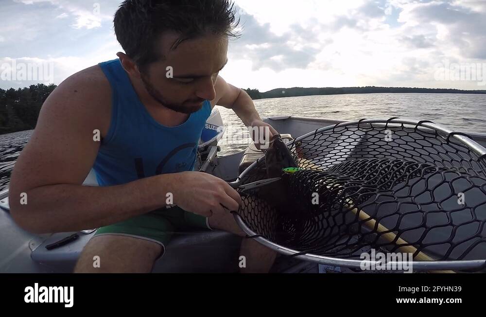 Largemouth bass fisherman Stock Videos & Footage - HD and 4K Video ...