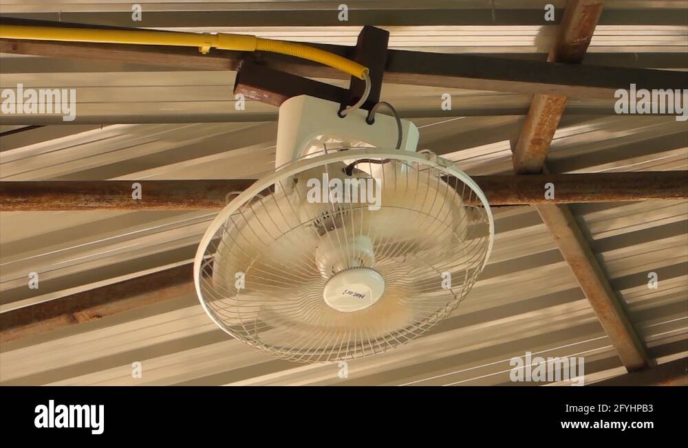 Rural fan Stock Videos & Footage - HD and 4K Video Clips - Alamy