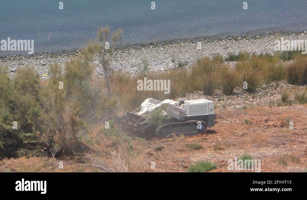 Land mine removal Stock Videos & Footage - HD and 4K Video Clips - Alamy
