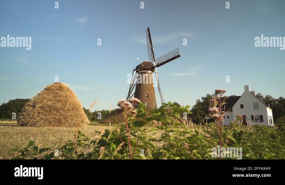 Typical dutch scenery Stock Videos & Footage - HD and 4K Video Clips ...