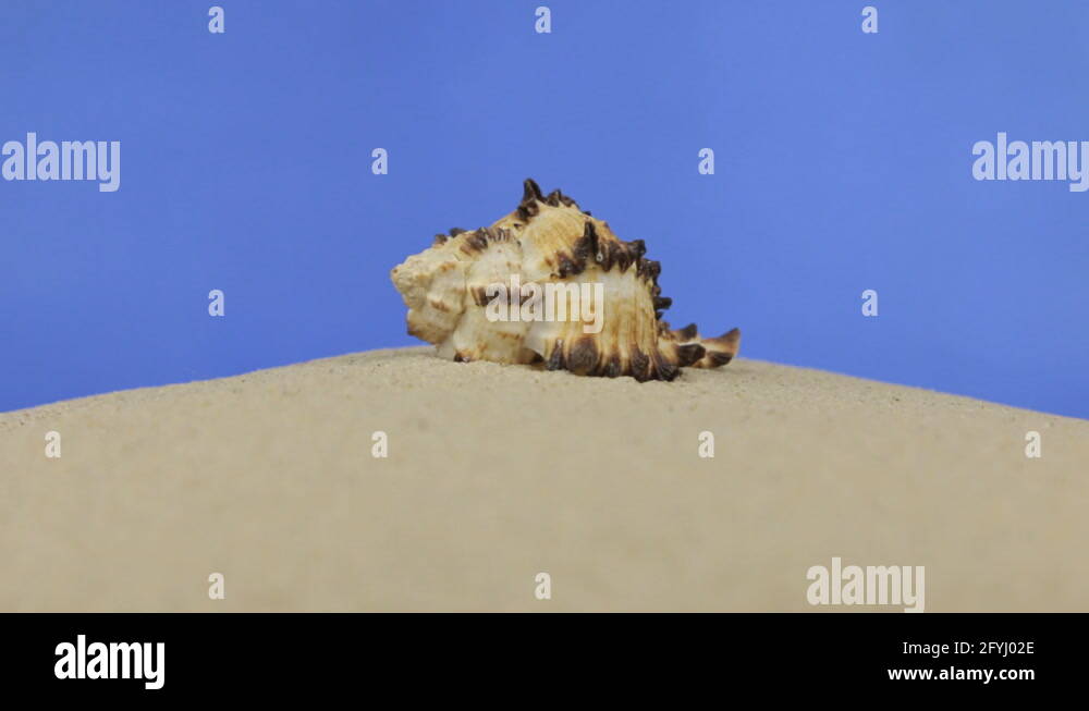 Zoom sand Stock Videos & Footage - HD and 4K Video Clips - Alamy