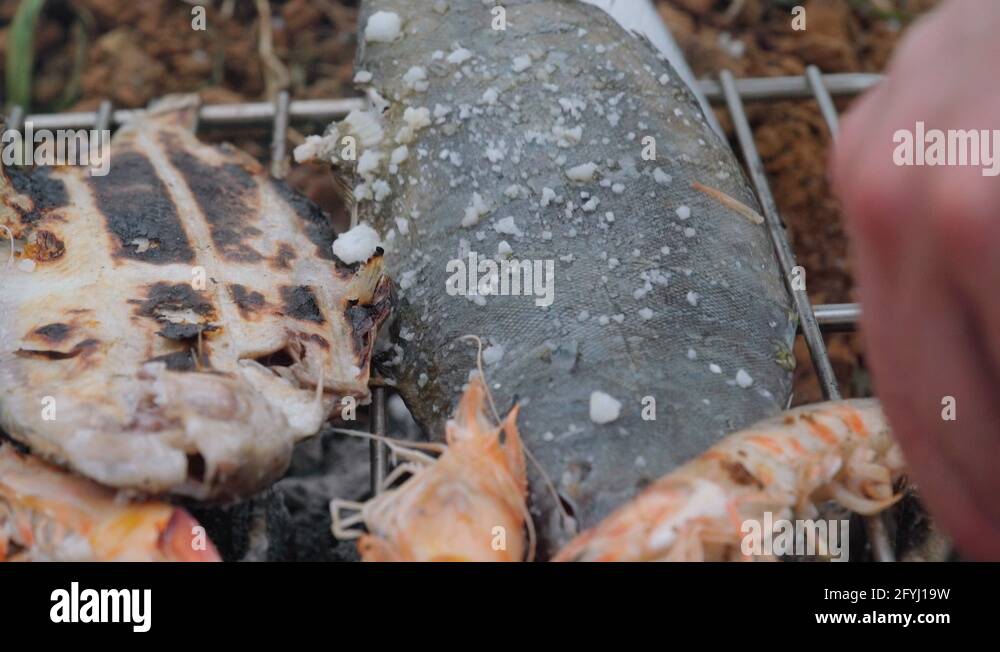 Flipping fish Stock Videos & Footage - HD and 4K Video Clips - Alamy