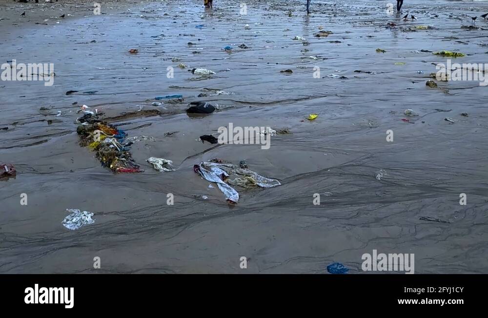 Human garbage Stock Videos & Footage - HD and 4K Video Clips - Alamy