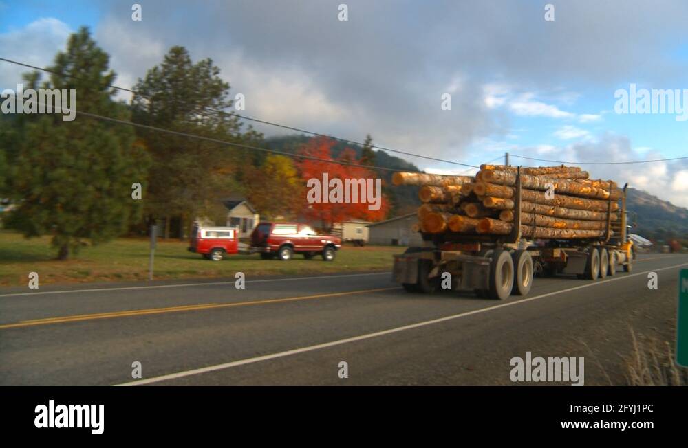 Log fir Stock Videos & Footage - HD and 4K Video Clips - Alamy