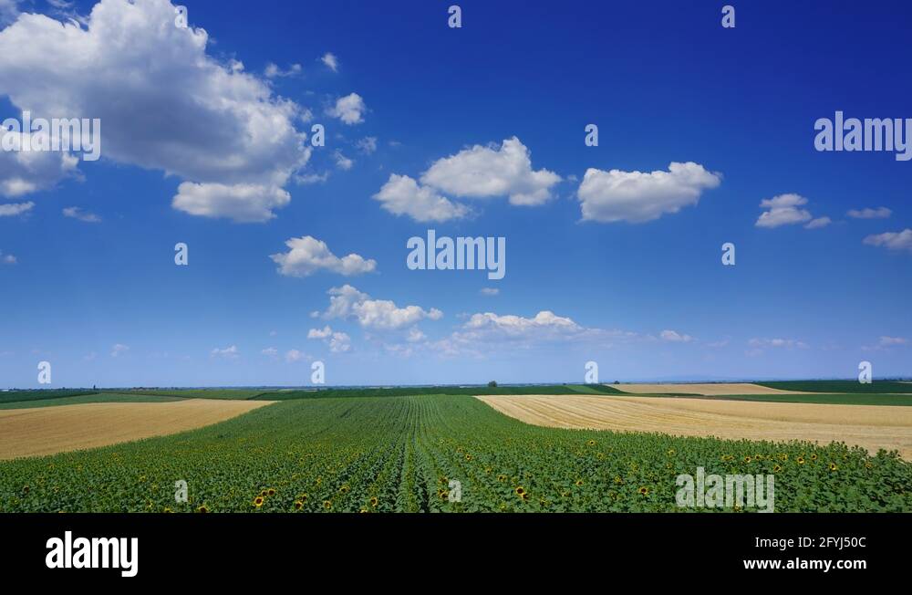 Fields in stripes Stock Videos & Footage - HD and 4K Video Clips - Alamy
