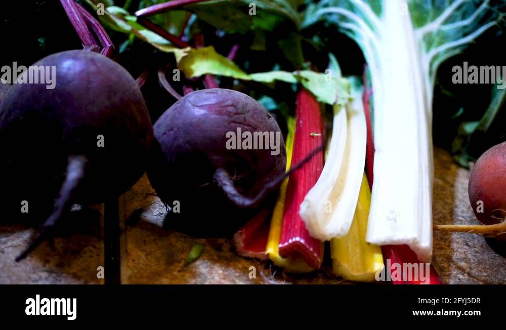 Purple beets Stock Videos & Footage - HD and 4K Video Clips - Alamy