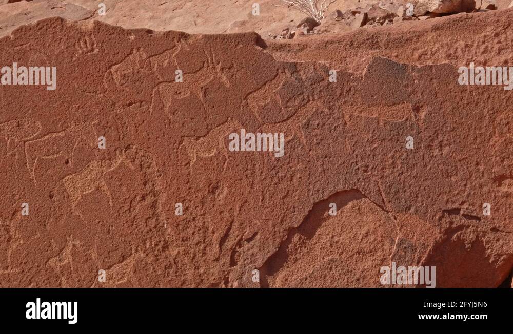 Prehistoric plate Stock Videos & Footage - HD and 4K Video Clips - Alamy