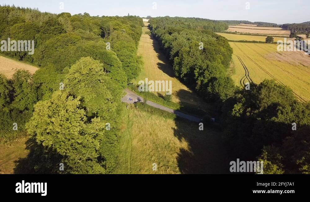 English country trees Stock Videos & Footage - HD and 4K Video Clips ...