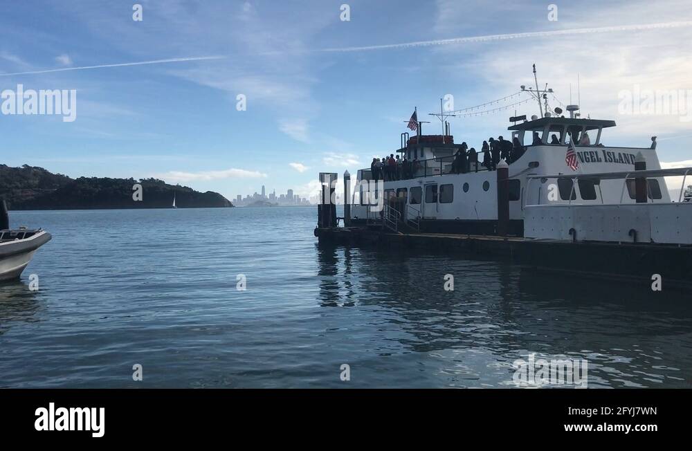 Tiburon island Stock Videos & Footage - HD and 4K Video Clips - Alamy