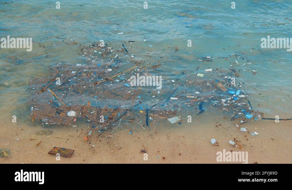 Plastic pollution floating in Caribbean Sea on tropical beach, SLOW ...