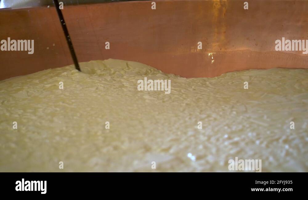 Cheese harp Stock Videos & Footage - HD and 4K Video Clips - Alamy