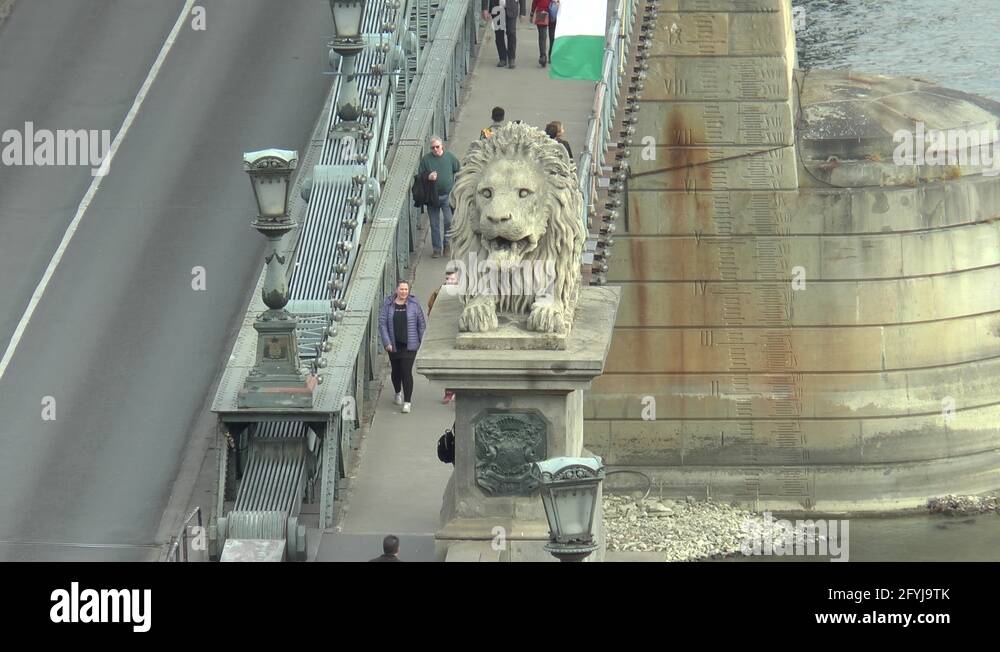 Budapest chain bridge lion Stock Videos & Footage - HD and 4K Video ...