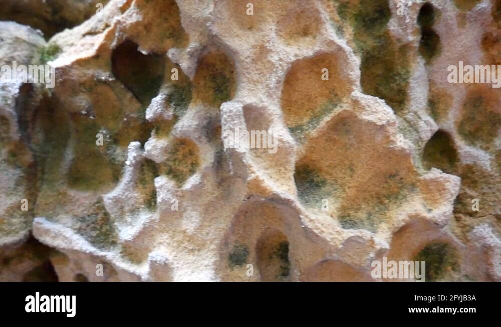 Sandstone with holes Stock Videos & Footage - HD and 4K Video Clips - Alamy