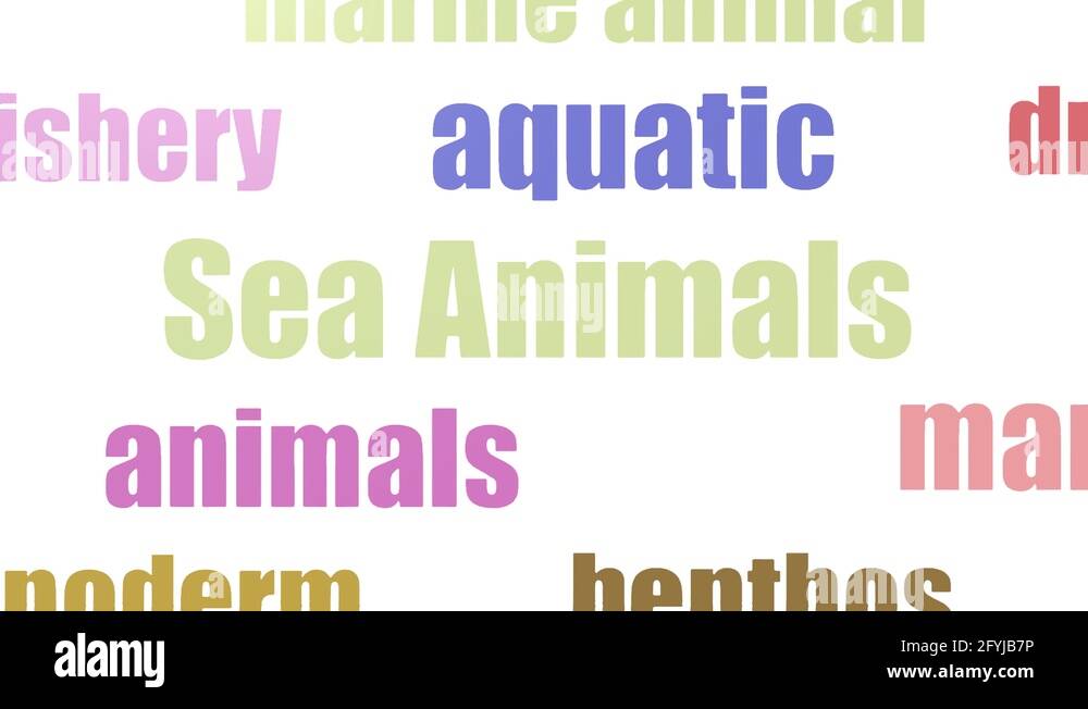 Sea Animals Word Cloud Animated Isolated Stock Video Footage - Alamy