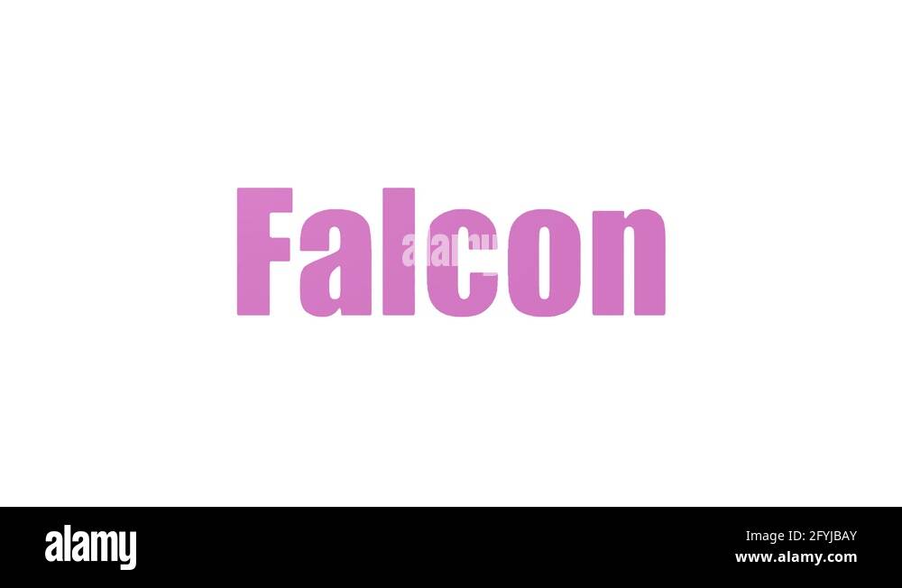 Nighthawk predator Stock Videos & Footage - HD and 4K Video Clips - Alamy