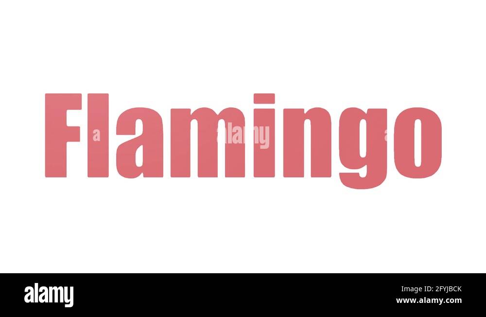 Flamingo word Stock Videos & Footage - HD and 4K Video Clips - Alamy