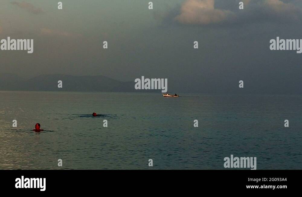 Dawn swimming Stock Videos & Footage - HD and 4K Video Clips - Alamy