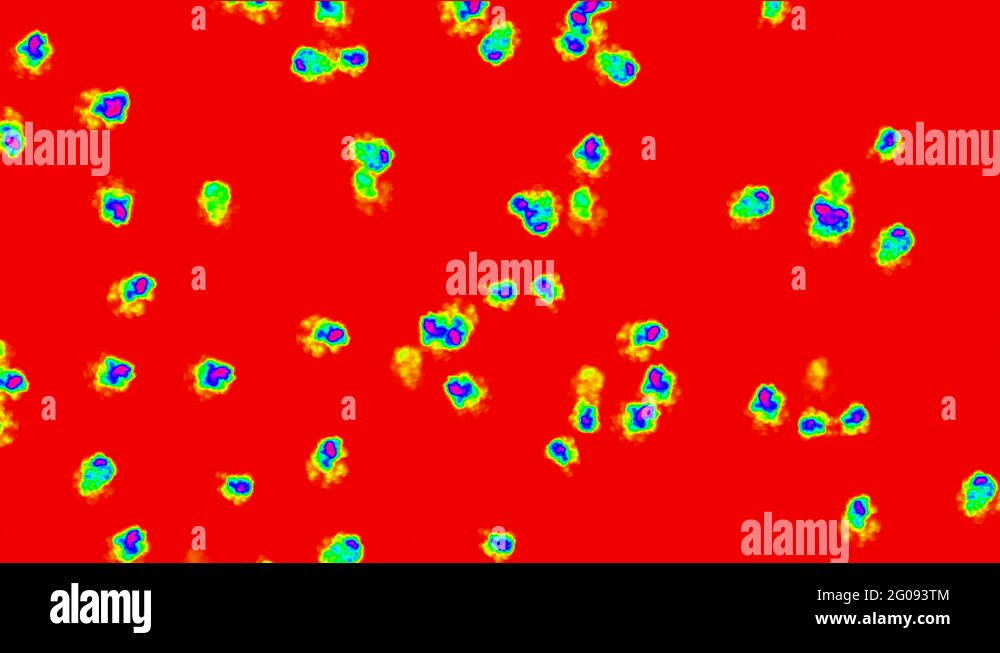 Bacteria bacillus spores Stock Videos & Footage - HD and 4K Video Clips ...