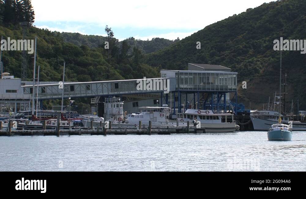 Picton ferry terminal Stock Videos & Footage - HD and 4K Video Clips ...