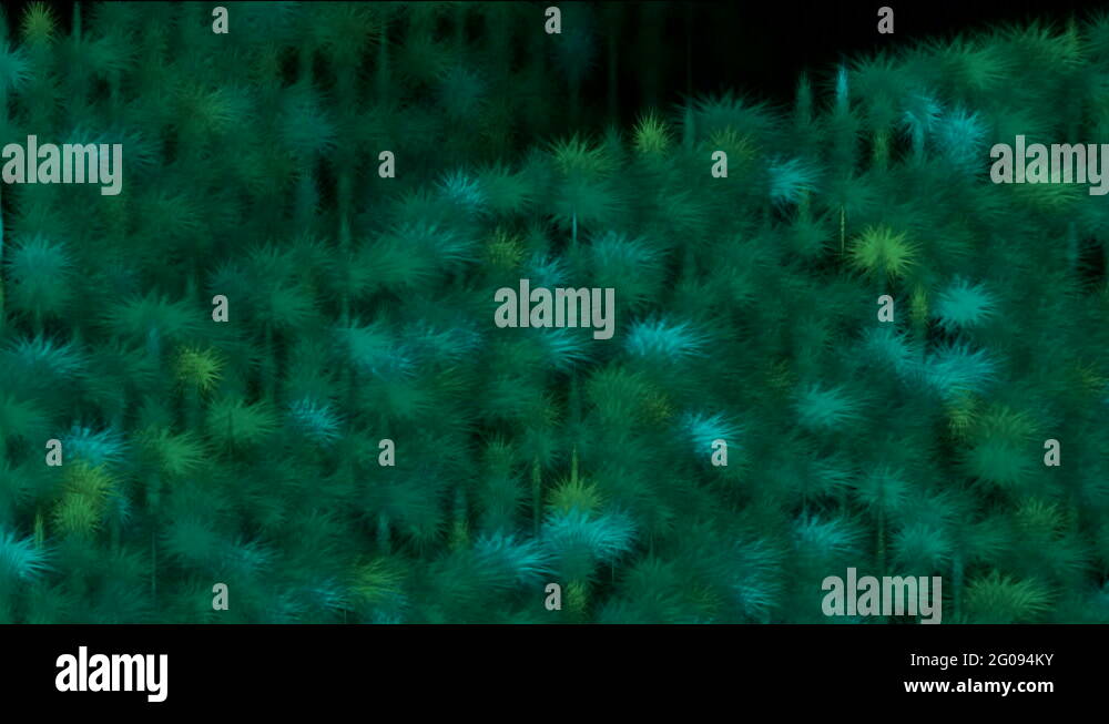 Grass weeds shrubs plants pasture harvest lush leaves bacteria spore ...