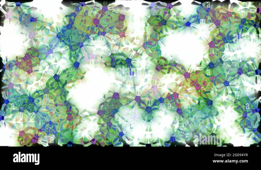 Wildflower collage Stock Videos & Footage - HD and 4K Video Clips - Alamy