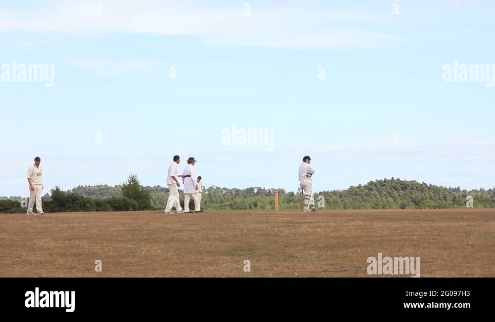 Cricket 4 Stock Videos & Footage - HD and 4K Video Clips - Alamy