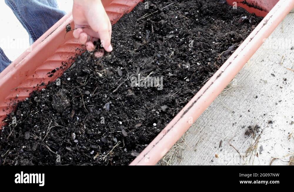 Cute girl garden digging Stock Videos & Footage - HD and 4K Video Clips ...