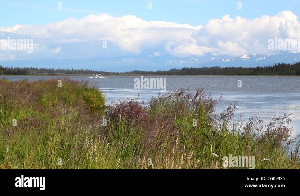 Float grass Stock Videos & Footage - HD and 4K Video Clips - Alamy