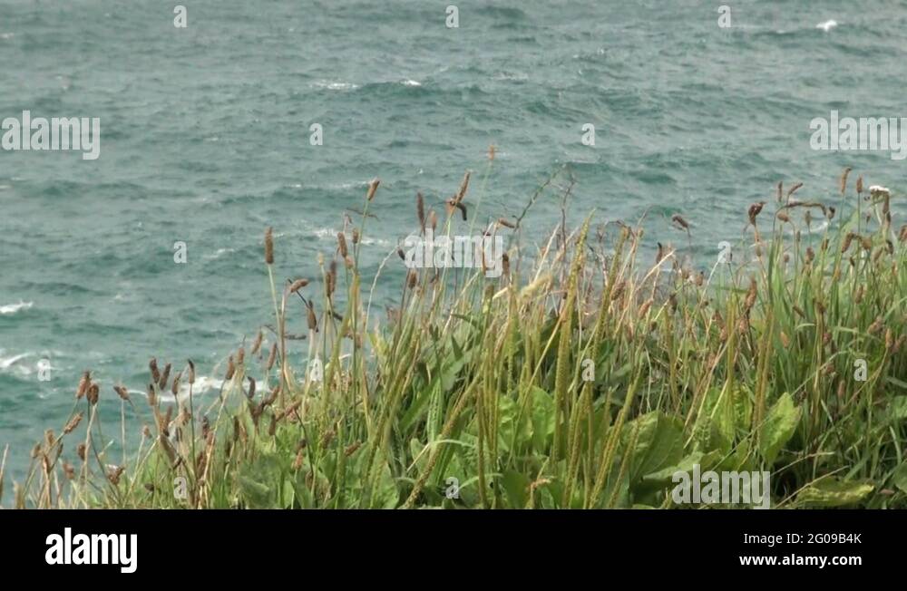 Breezy Stock Videos & Footage - HD and 4K Video Clips - Alamy