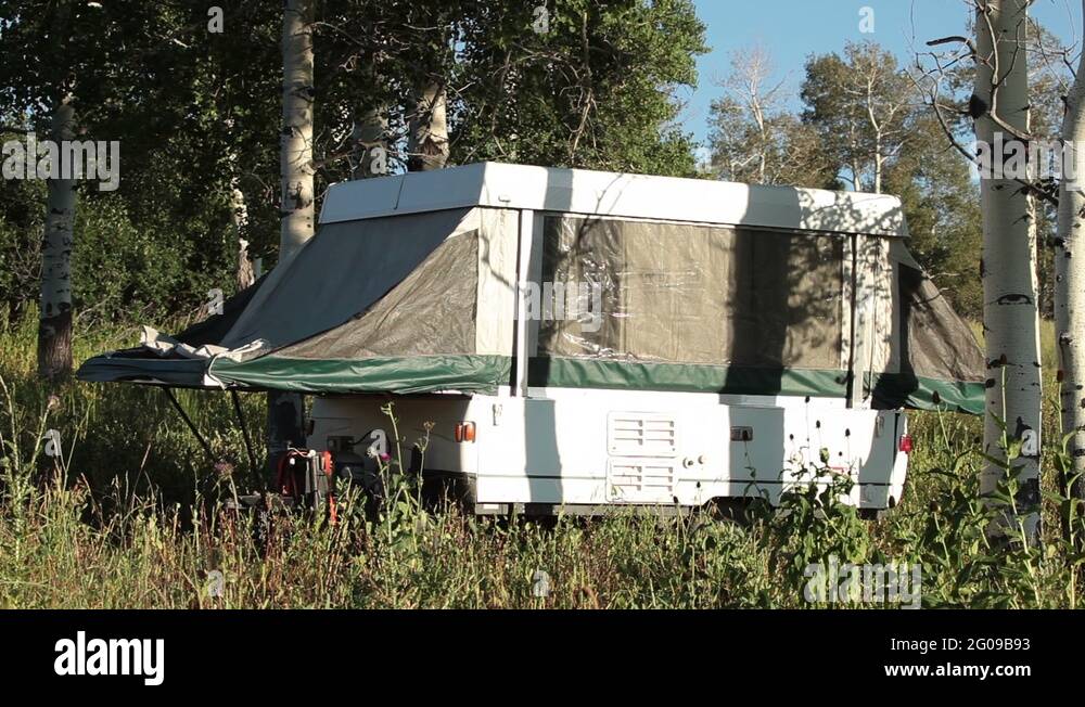 Camp weed Stock Videos & Footage - HD and 4K Video Clips - Alamy