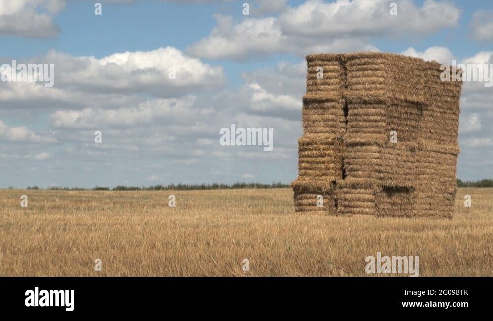 The haystack Stock Videos & Footage - HD and 4K Video Clips - Alamy