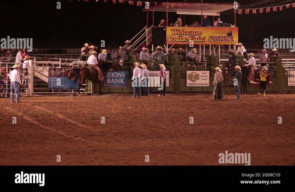 Saddle bronc rodeo rider Stock Videos & Footage - HD and 4K Video Clips ...