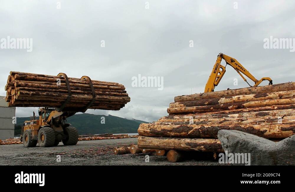 Log loading Stock Videos & Footage - HD and 4K Video Clips - Alamy