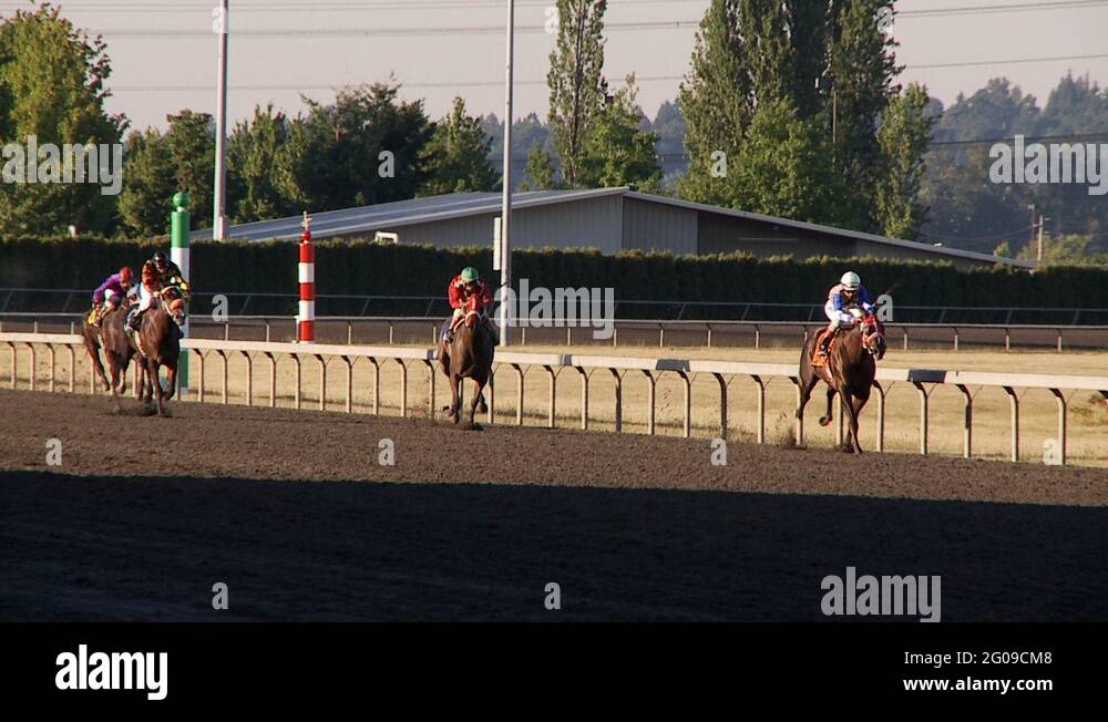 Horse race derby equestrian Stock Videos & Footage - HD and 4K Video ...
