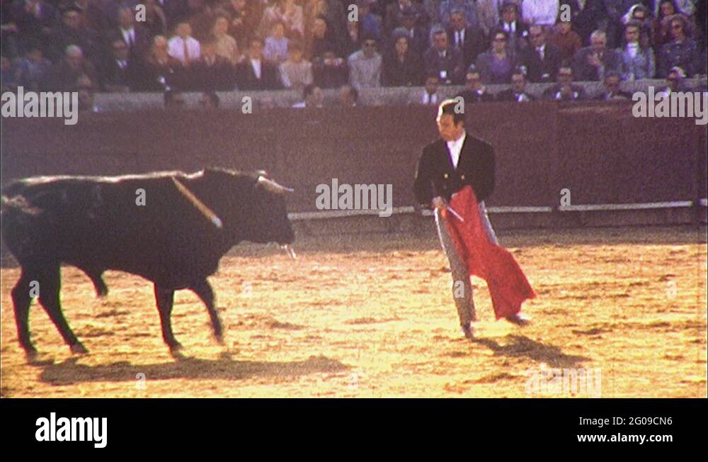 Brave bull Stock Videos & Footage - HD and 4K Video Clips - Alamy