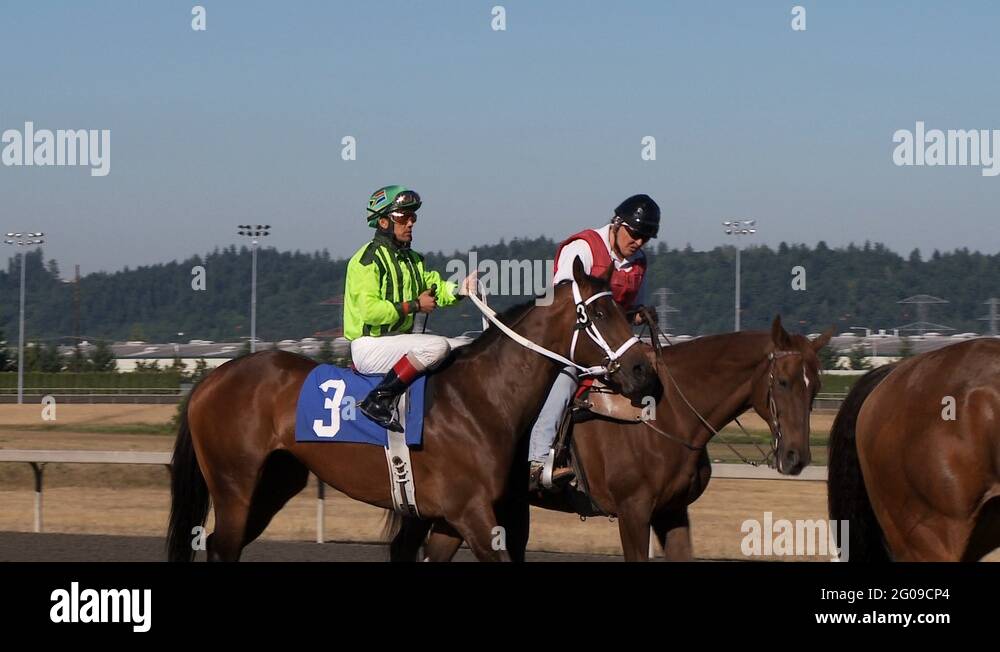 Jockey Stock Videos & Footage - HD and 4K Video Clips - Alamy