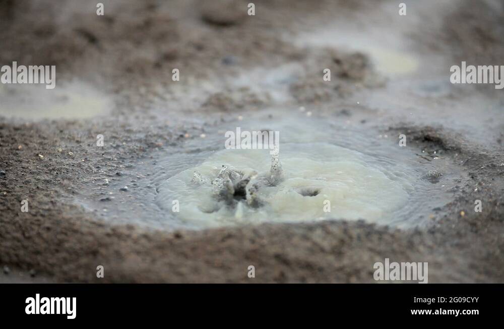 Steam Erupting from Underground Volcanic Springs Stock Video Footage ...
