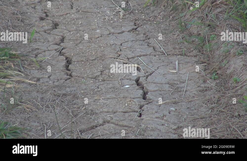 Arid desolation dry Stock Videos & Footage - HD and 4K Video Clips - Alamy