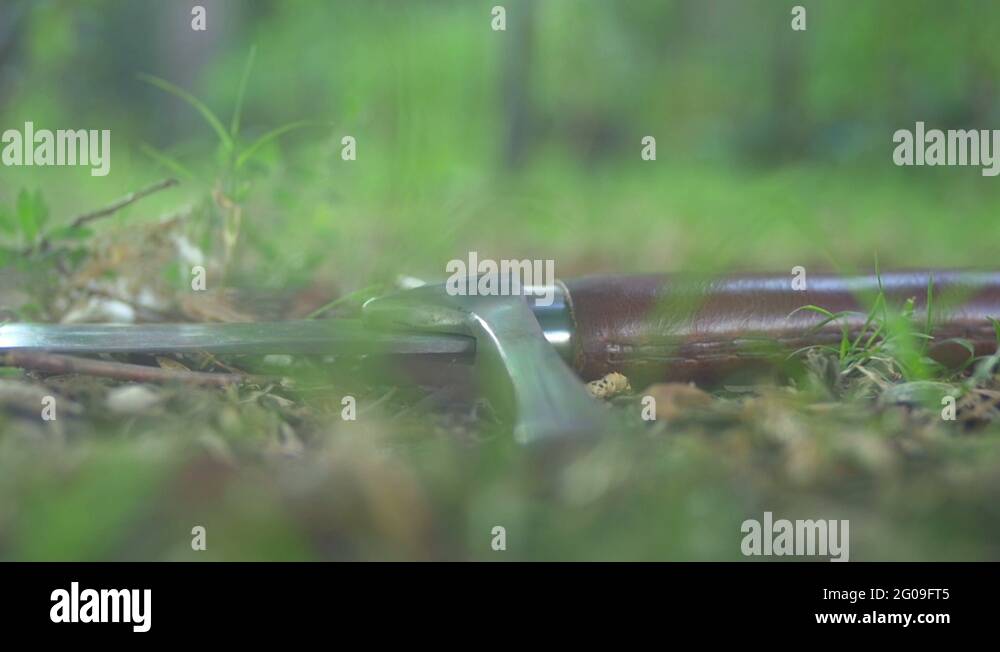Sword sword Stock Videos & Footage - HD and 4K Video Clips - Alamy