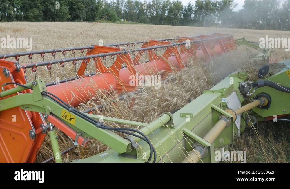 Claas chopper Stock Videos & Footage - HD and 4K Video Clips - Alamy