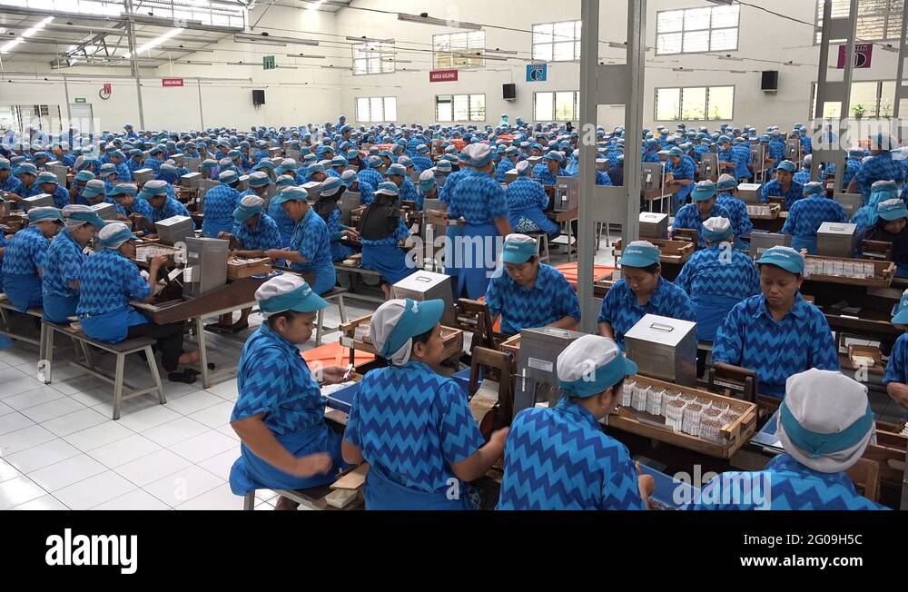 Asia industry woman Stock Videos & Footage - HD and 4K Video Clips - Alamy