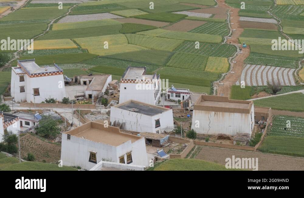Traditional tibetan houses and grass fields,Xiangcheng,Sichuan,China ...