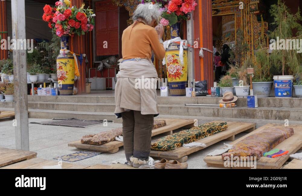 Tibetan buddhist prostration praying in temple,Litang,Sichuan,China ...