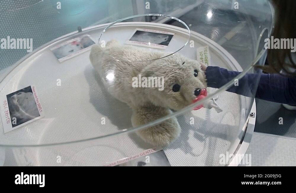 Paro therapeutic robot Stock Videos & Footage - HD and 4K Video Clips ...