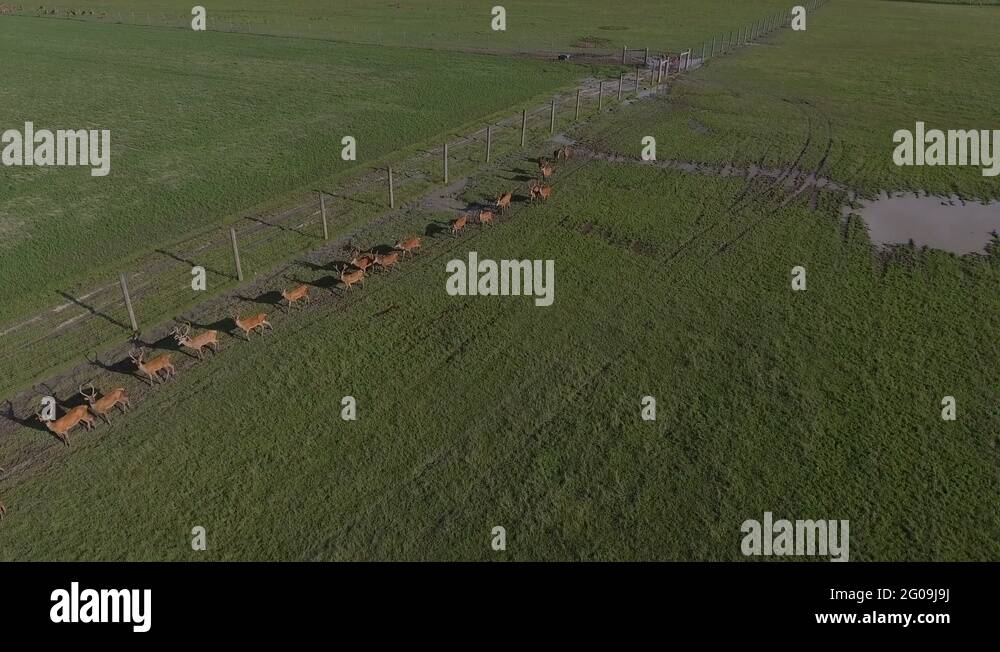 View along fence line Stock Videos & Footage - HD and 4K Video Clips ...