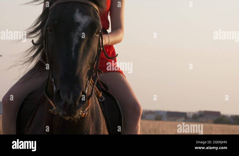 Young girl wearing long red dress riding black horse in countryside ...
