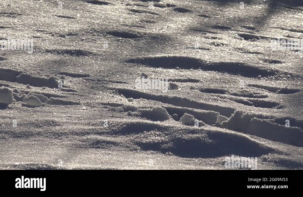 Snow mountain pasture Stock Videos & Footage - HD and 4K Video Clips ...