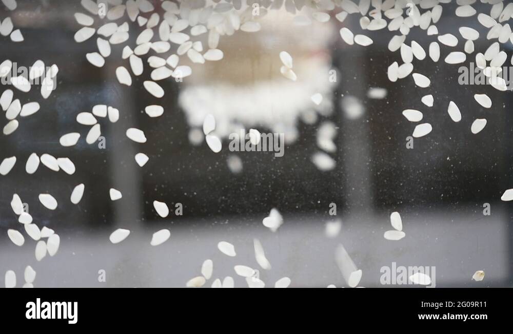 Rice grain falling on reflective table top on. bottom view Stock Video ...