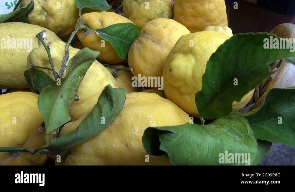Positano italy lemons Stock Videos & Footage - HD and 4K Video Clips ...